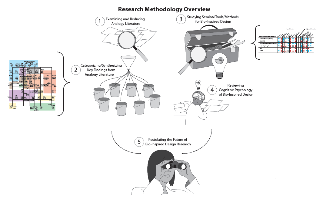 BIO-INSPIRED DESIGN: AN OVERVIEW INVESTIGATING OPEN QUESTIONS FROM THE ...